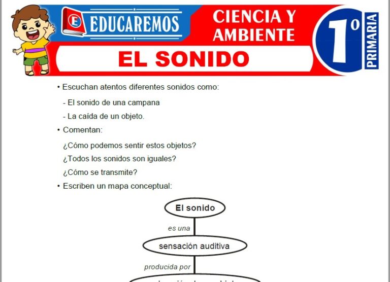 Ciencia y Ambiente para Primero de Primaria » (32 Fichas GRATIS) 📚