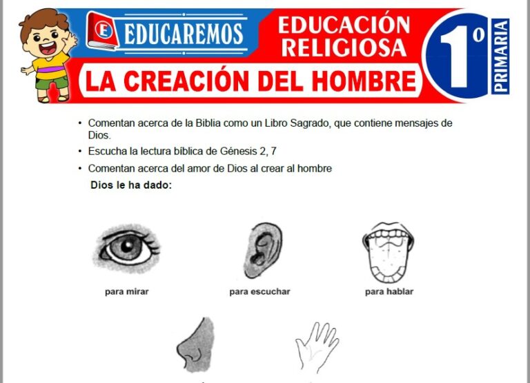 La Creación Del Hombre Para Primero De Primaria Fichas Gratis 📚