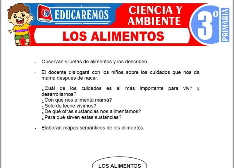 Los Alimentos para Tercero de Primaria » (Fichas GRATIS) 📚
