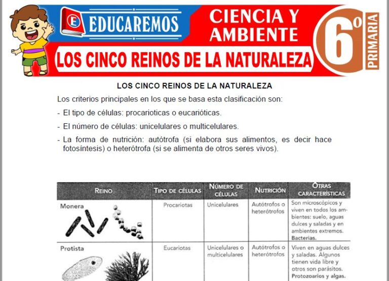Los Cinco Reinos de la Naturaleza para Sexto de Primaria » (Fichas ...
