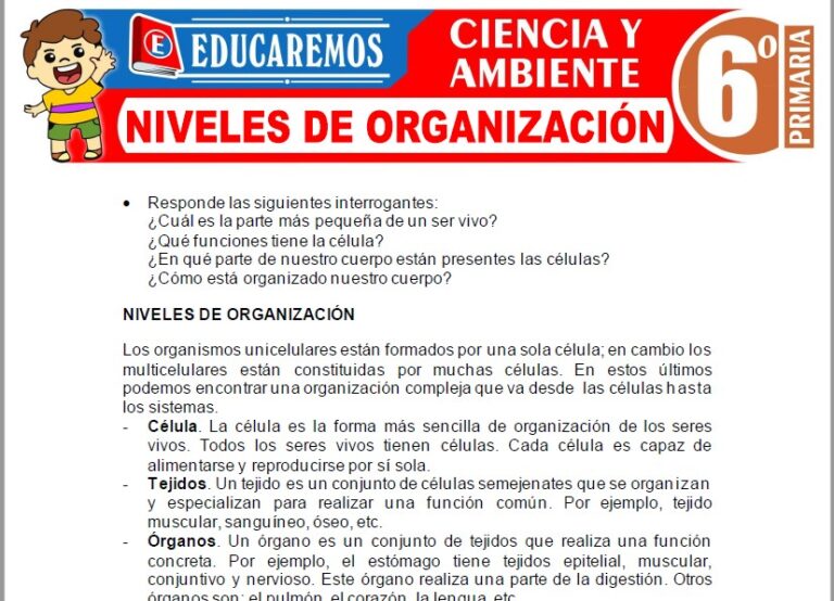 Ciencia y Ambiente para Sexto de Primaria » (38 Fichas GRATIS) 📚