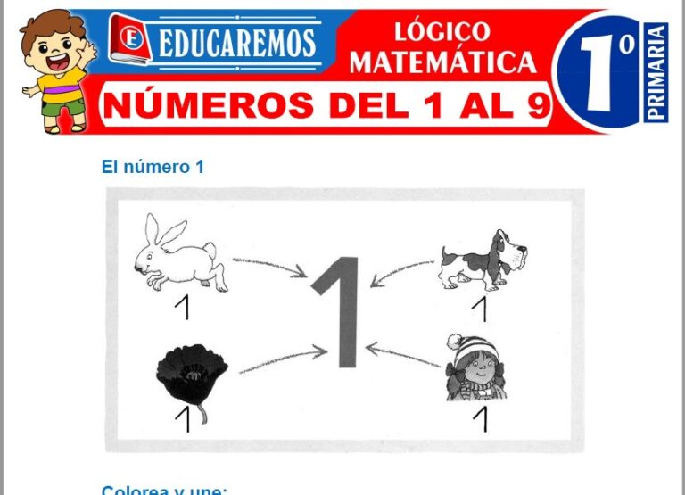 Números del 1 al 9 para Primero de Primaria » (Fichas GRATIS) 📚